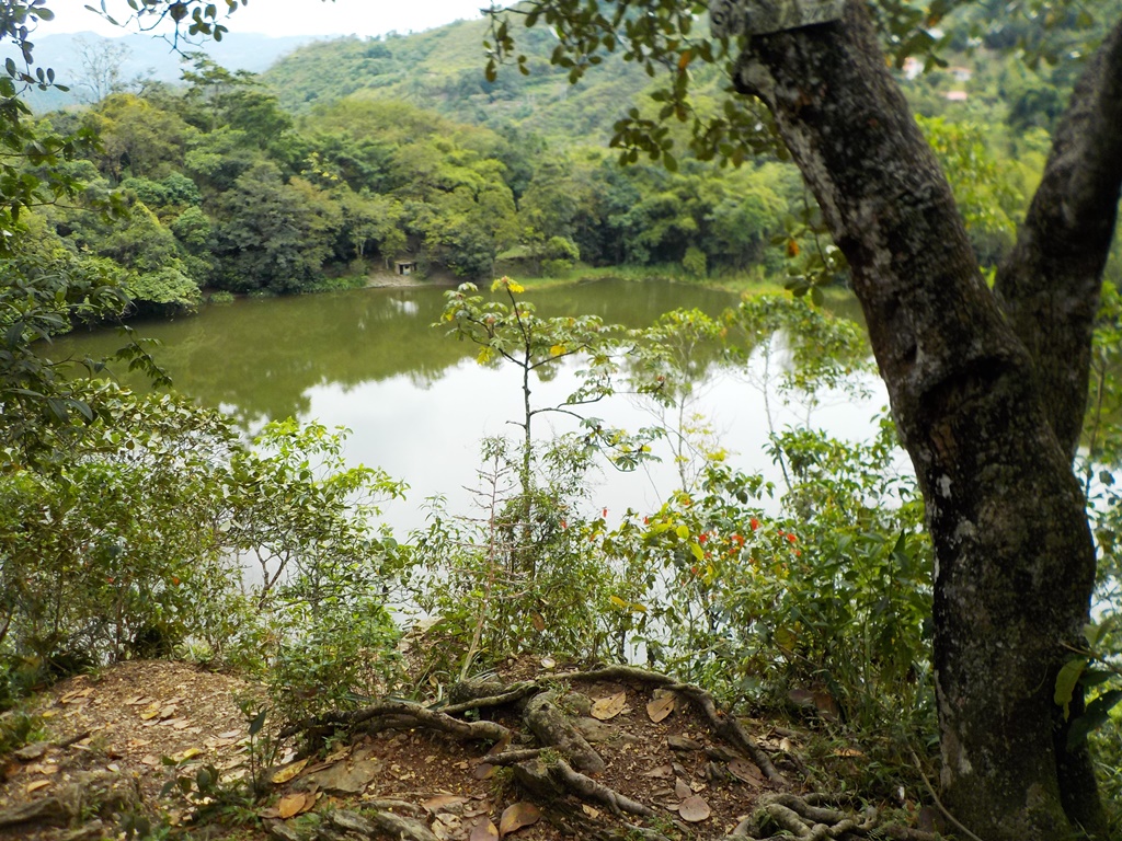 From the mountain to the Caribbean sea – Colombie Célestine